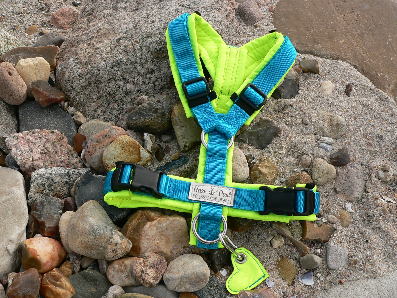 Hase Paul - Schnapp & Wech Petrol/Neongelb